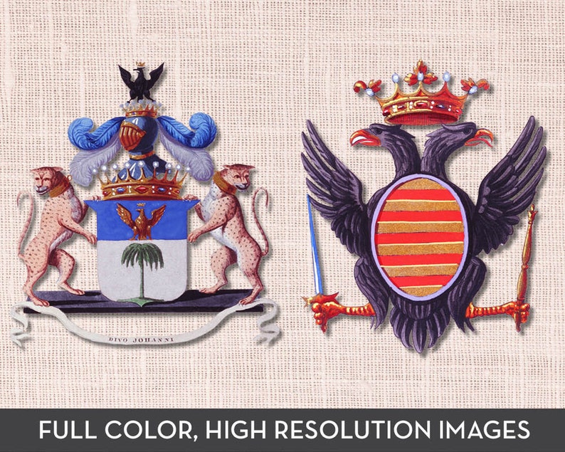 Heraldry Shields Emblems Clip Art VOL 5. Coat of Arms Clip Art. Knight ...