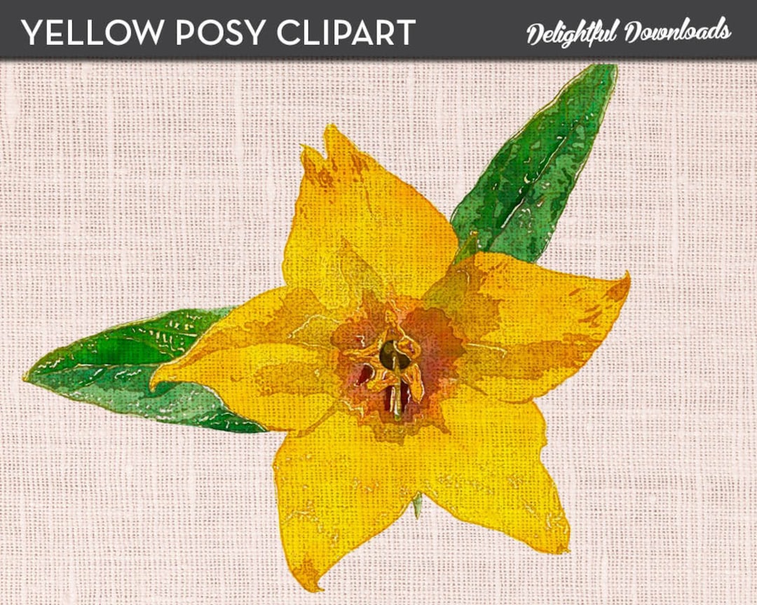 Flower Clip Art 