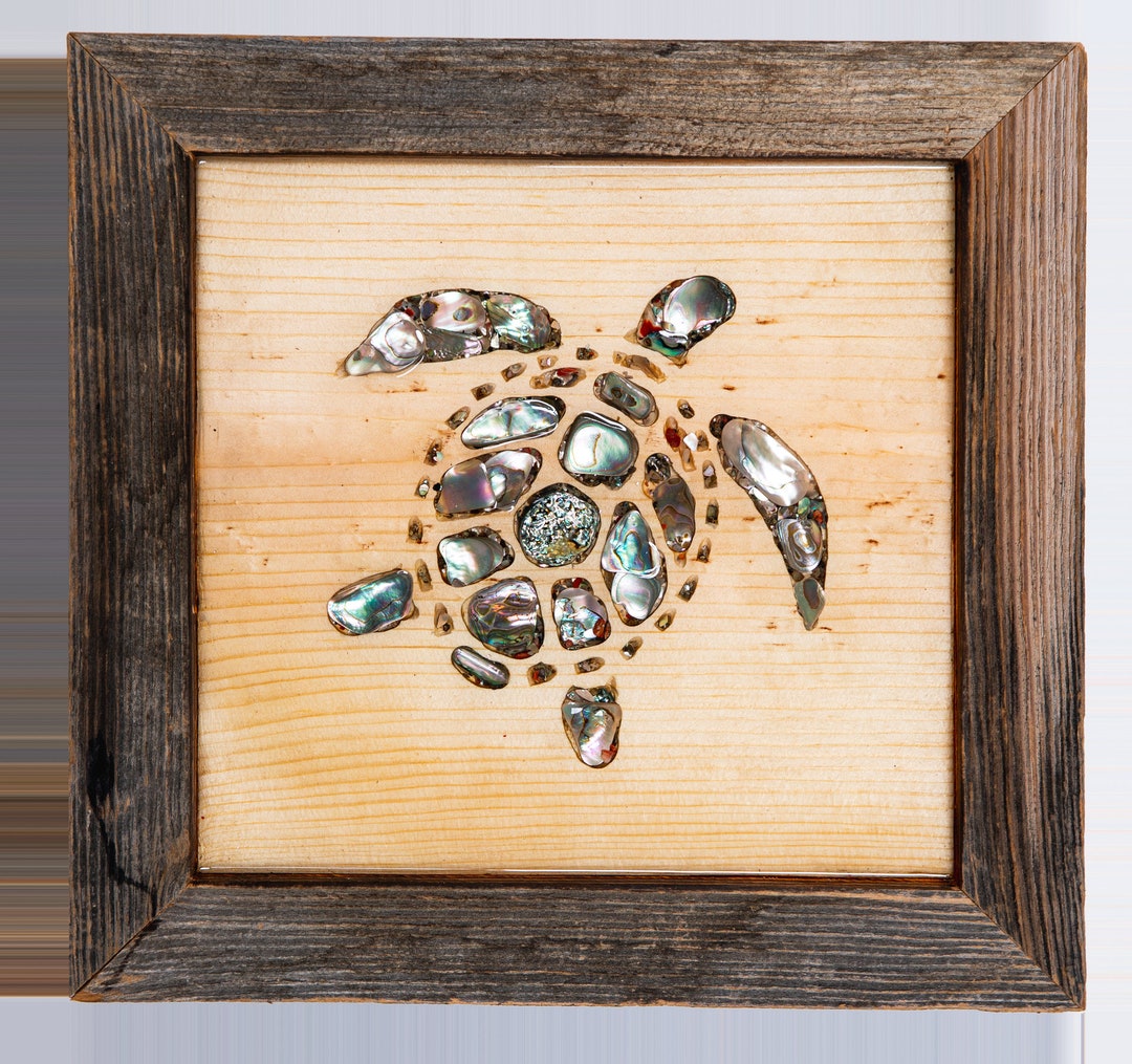 Abalone Wall Art Turtle - Etsy