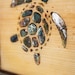 Abalone Wall Art Turtle - Etsy