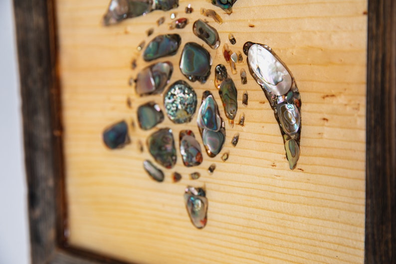 Abalone Wall Art Turtle - Etsy