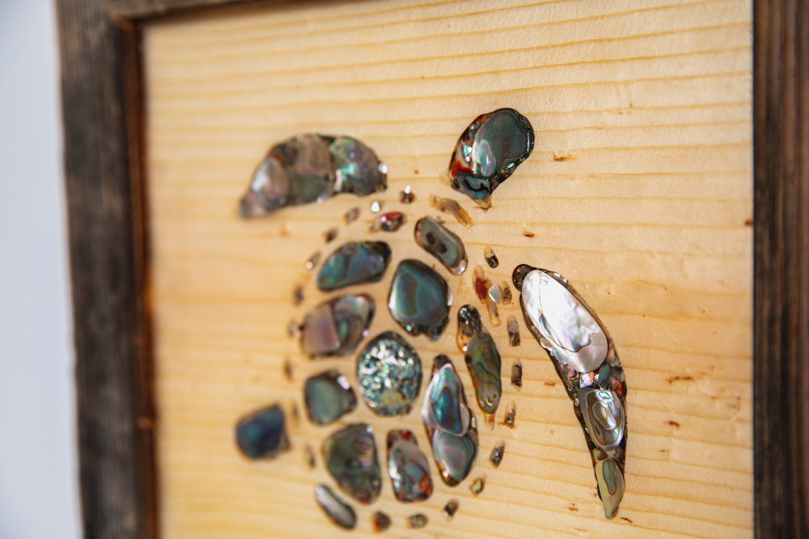Abalone Wall Art Turtle - Etsy
