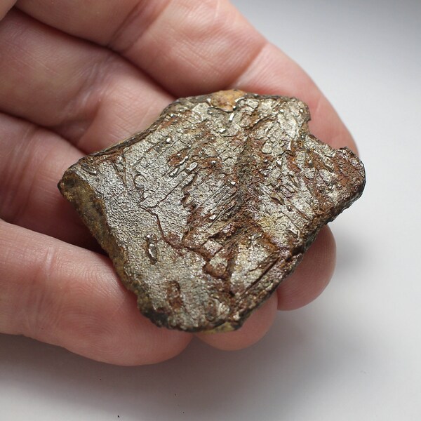 Meteorite Slab - Etsy