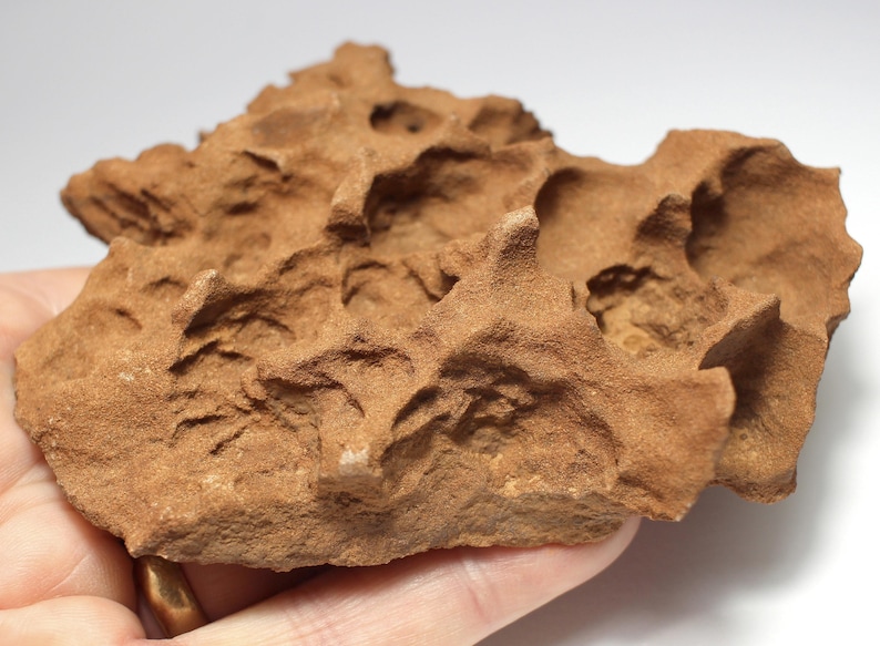 Tafoni - Remarkable Red Sandstone With Rare Naturally Sculpted Tafoni ...