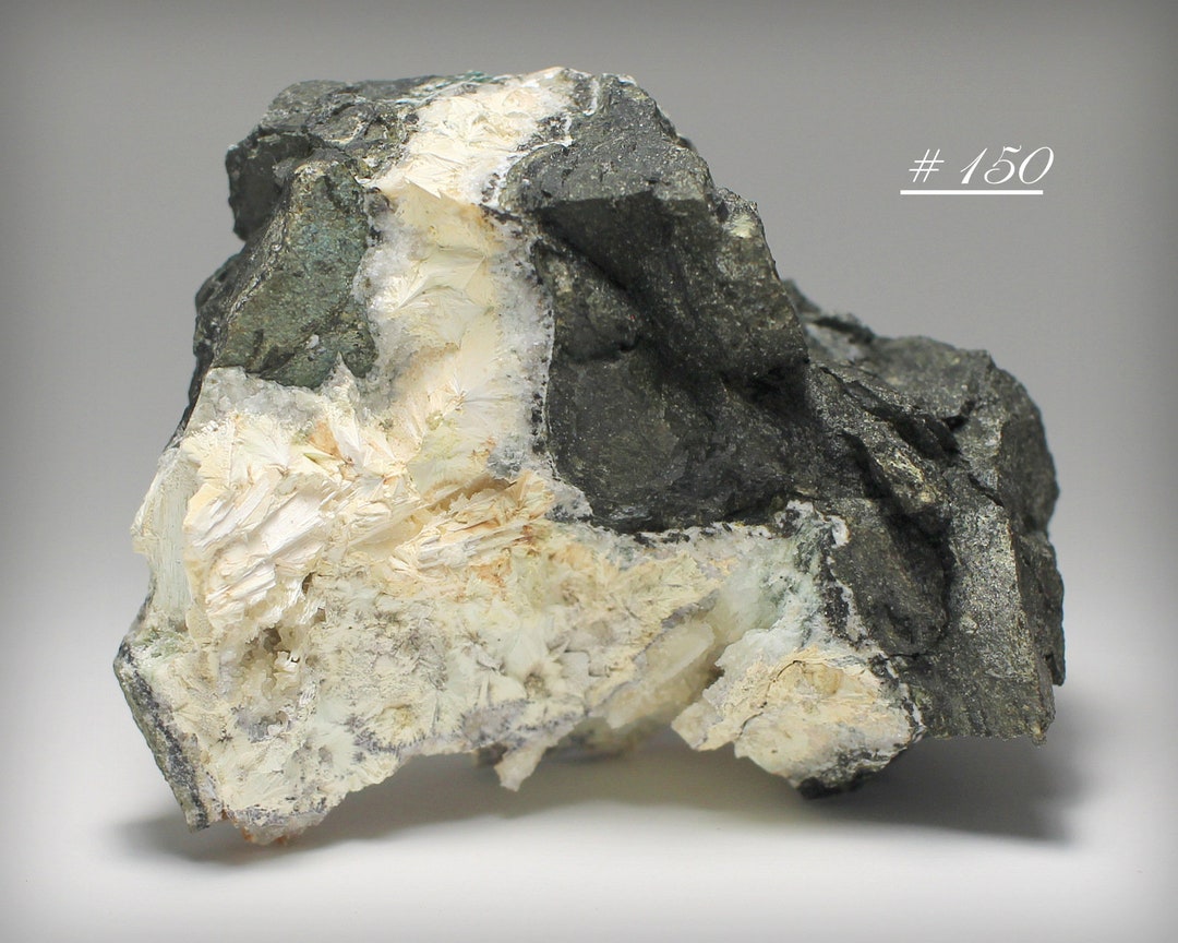 Pretty Radiating Pectolite, With Some Alteration to Stevensite, on Dark ...