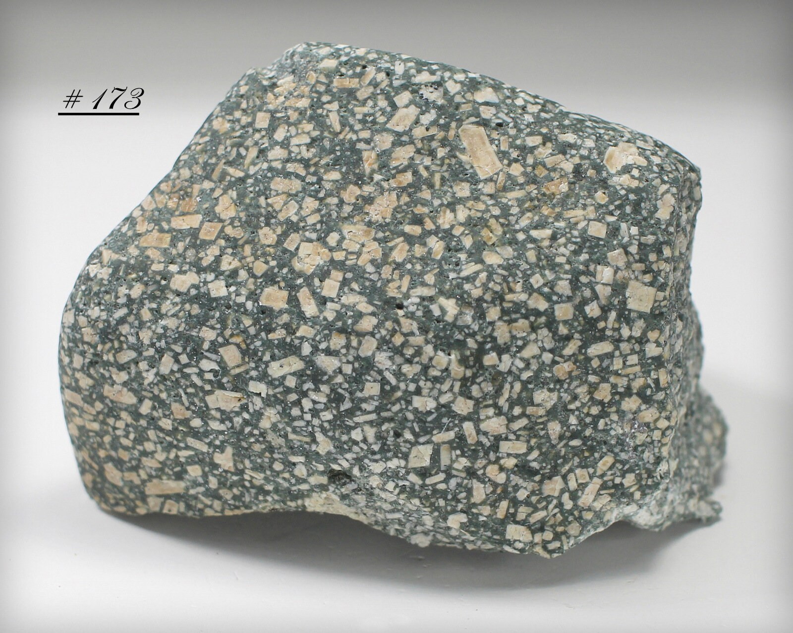 Porphyritic Andesite Rock