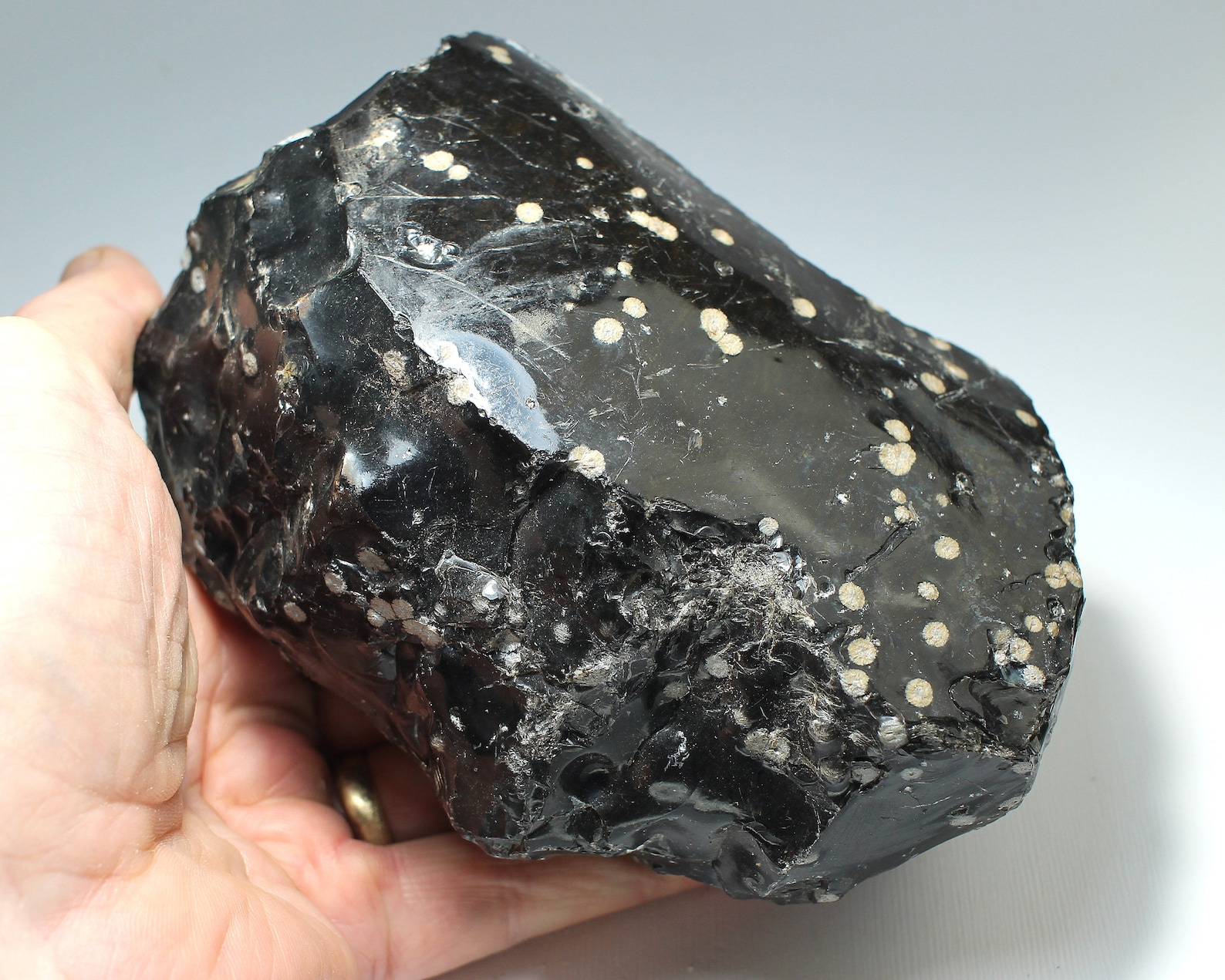 Large Snowflake Obsidian Raw Glassy Cobble of Aphanitic Lava - Etsy