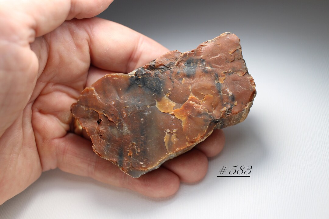 PETRIFIED WOOD Arizona, USA Vintage, Pretty, Super Dark-red Jasper ...