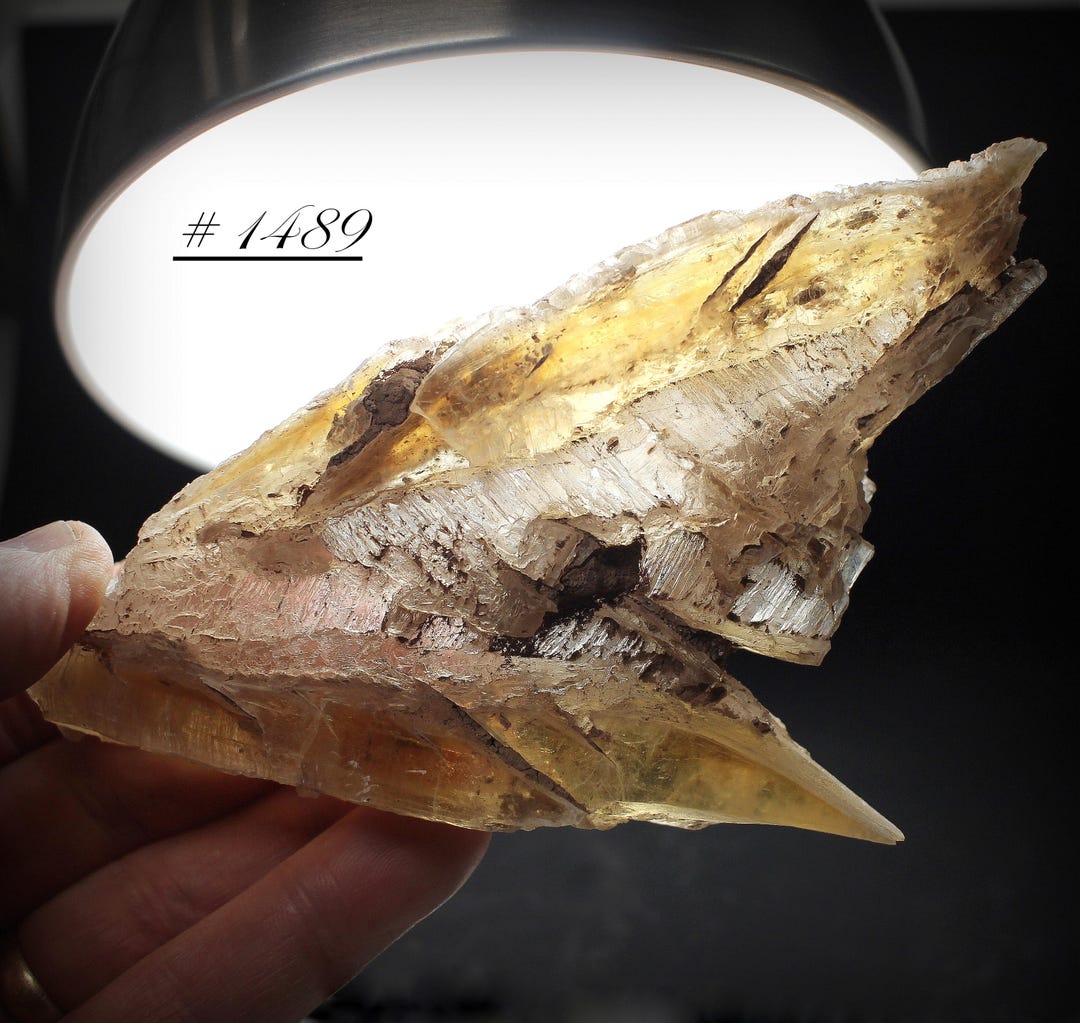Rare Gorgeous Large Fishtail Twin Selenite Gypsum Crystal, With Amber ...