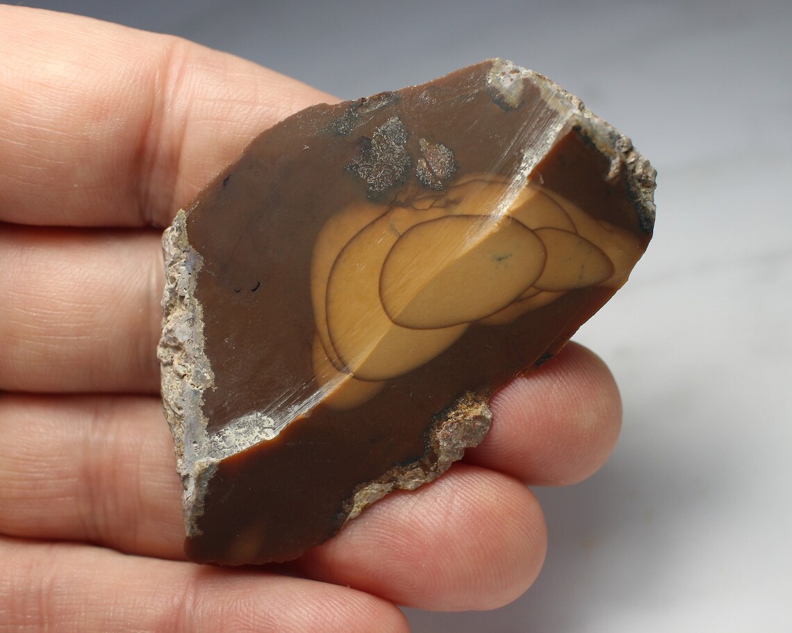 Bruneau Jasper Raw Slice of Orb-filled Bruneau Jasper From - Etsy
