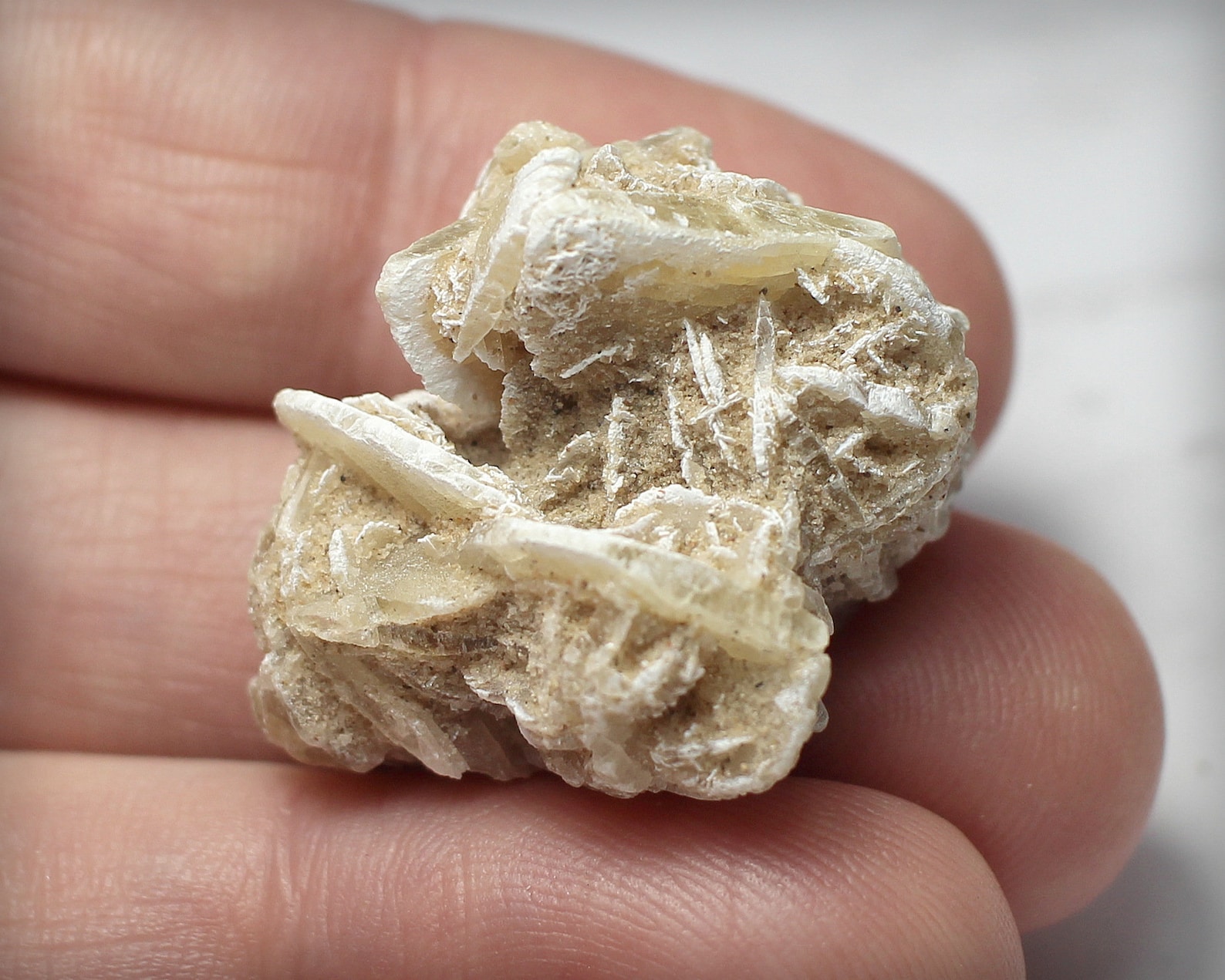 Two Different Specimens of Gypsum Crystals Two Habits: | Etsy