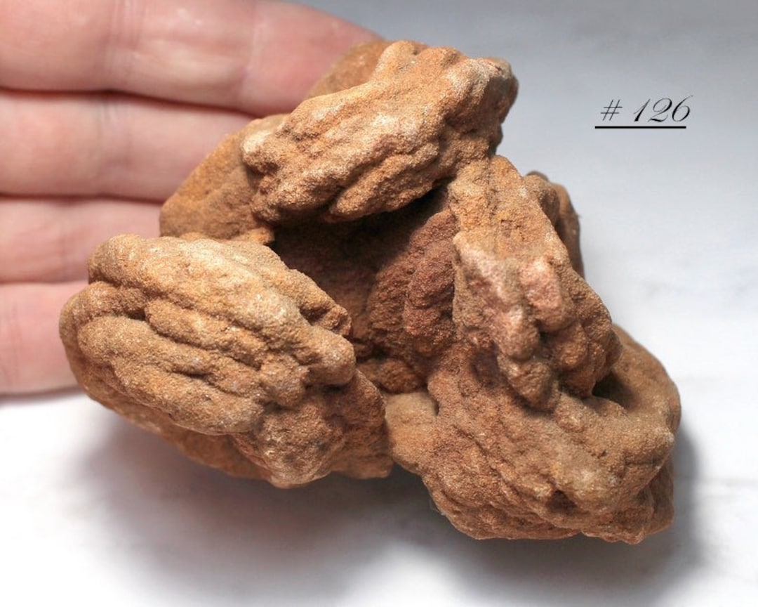 Large Ropy Barite Rose Multi-flowered Specimen - Desert Rose - Mineral ...