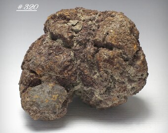 Agatized Coprolite fossilized Poop From Shootaring Canyon, Utah, USA - Etsy