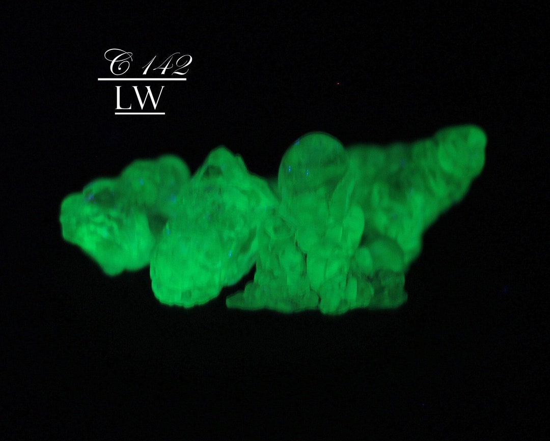 Gemmy Clear Botryoidal Hyalite Opal - Four Pieces of WILDLY Fluorescent ...