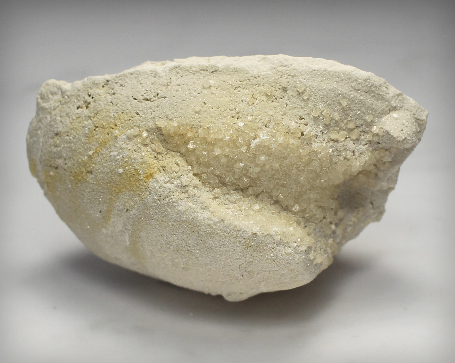 Large Pelecypod Fossil with Calcite from the Silurian Period | Etsy