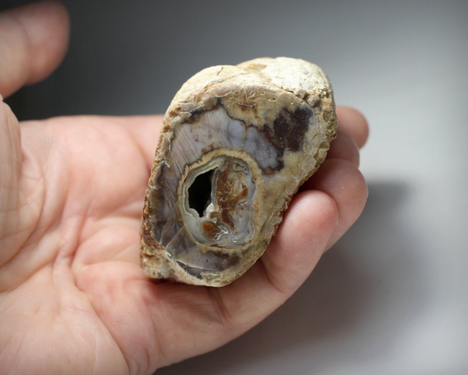 Chapenite Brecciated Jasper Geode/nodule, With One Partially Polished ...