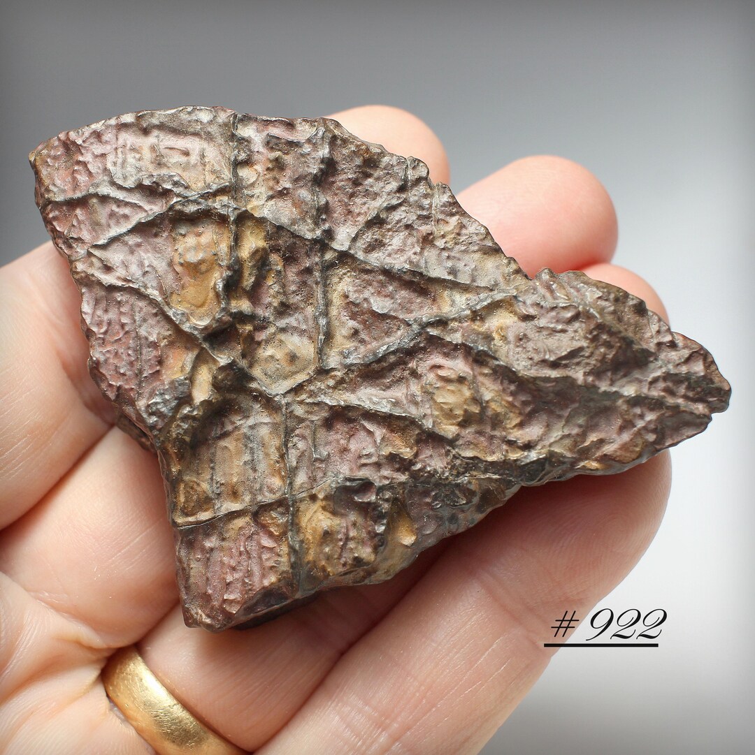 Tsesite Stone: Lithified Namibian Mud Cracks - Etsy