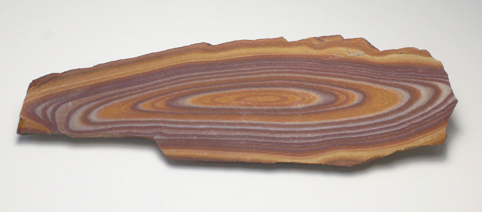 HICKORYITE Rhyolite 'wonder-stone' Agate Slice - Etsy