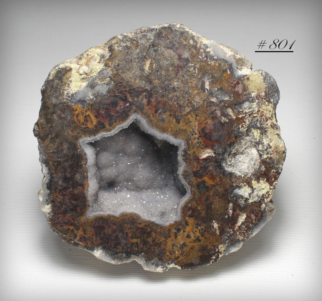 Diamond-sawn Coconut Geode Half With Sparkling Smoky Amethyst ...