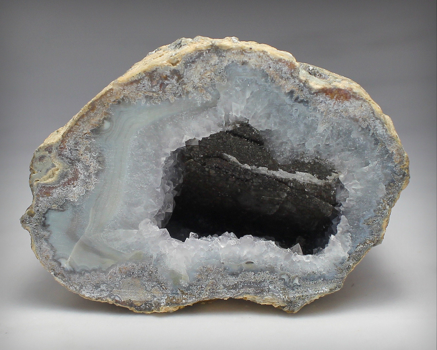 A Smaller Diamond-Sawn Coconut Geode Half with Bluish | Etsy