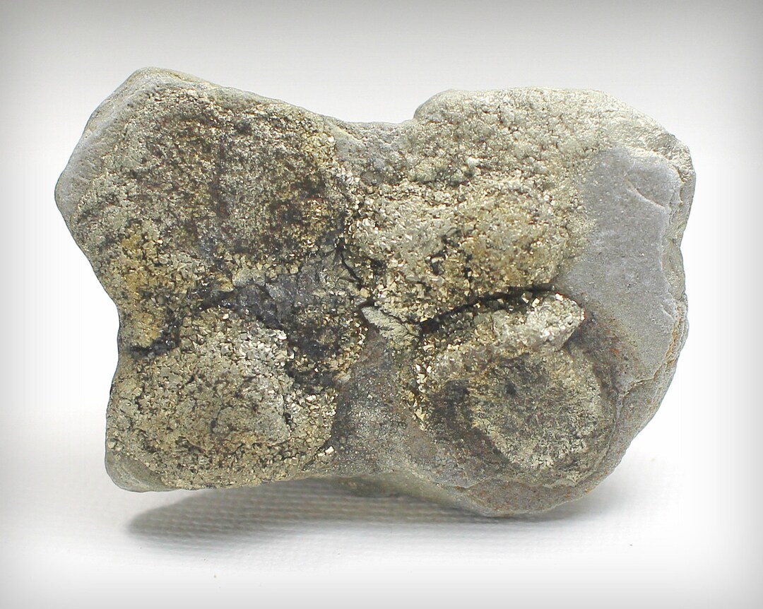Pyrite Nodules on Pyrite Matrix Illinois glacial Erratic - Etsy