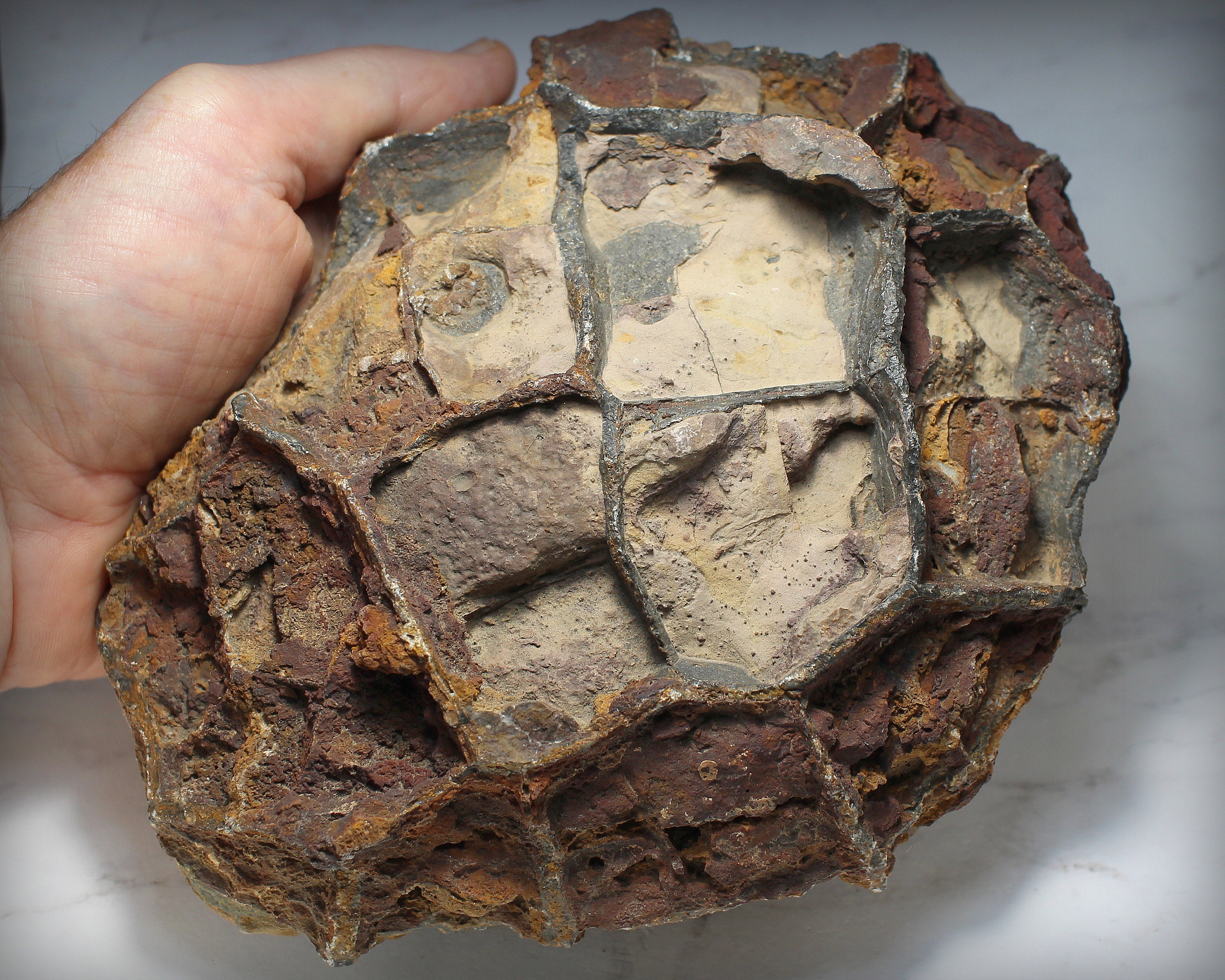 Rough Septarian Nodule