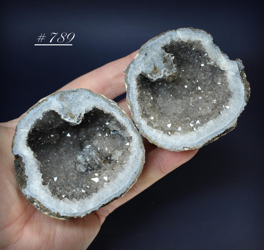 Coconut Geode, Cut in Half, With Sparkling Smoky Amethystine Crystals ...