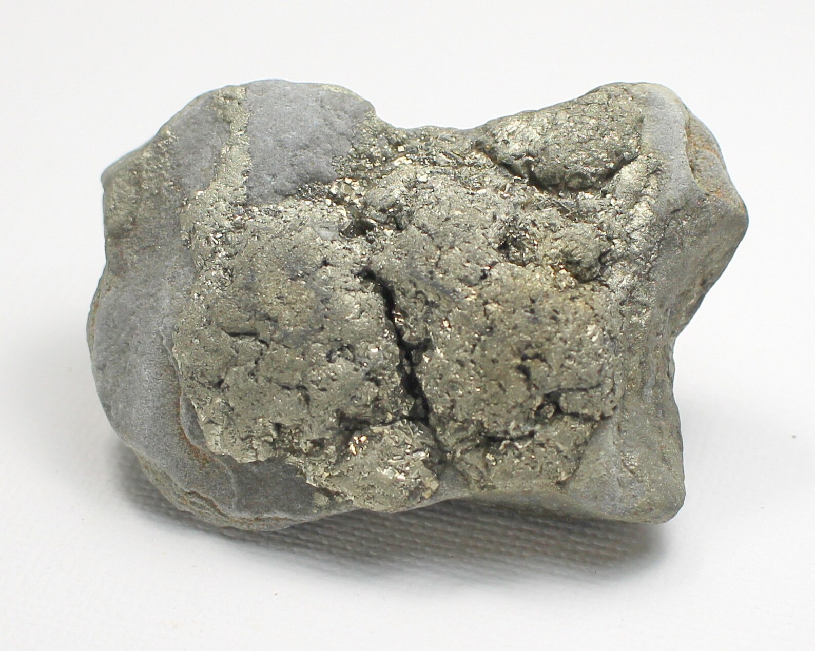 Pyrite Nodules on Pyrite Matrix Illinois glacial Erratic - Etsy