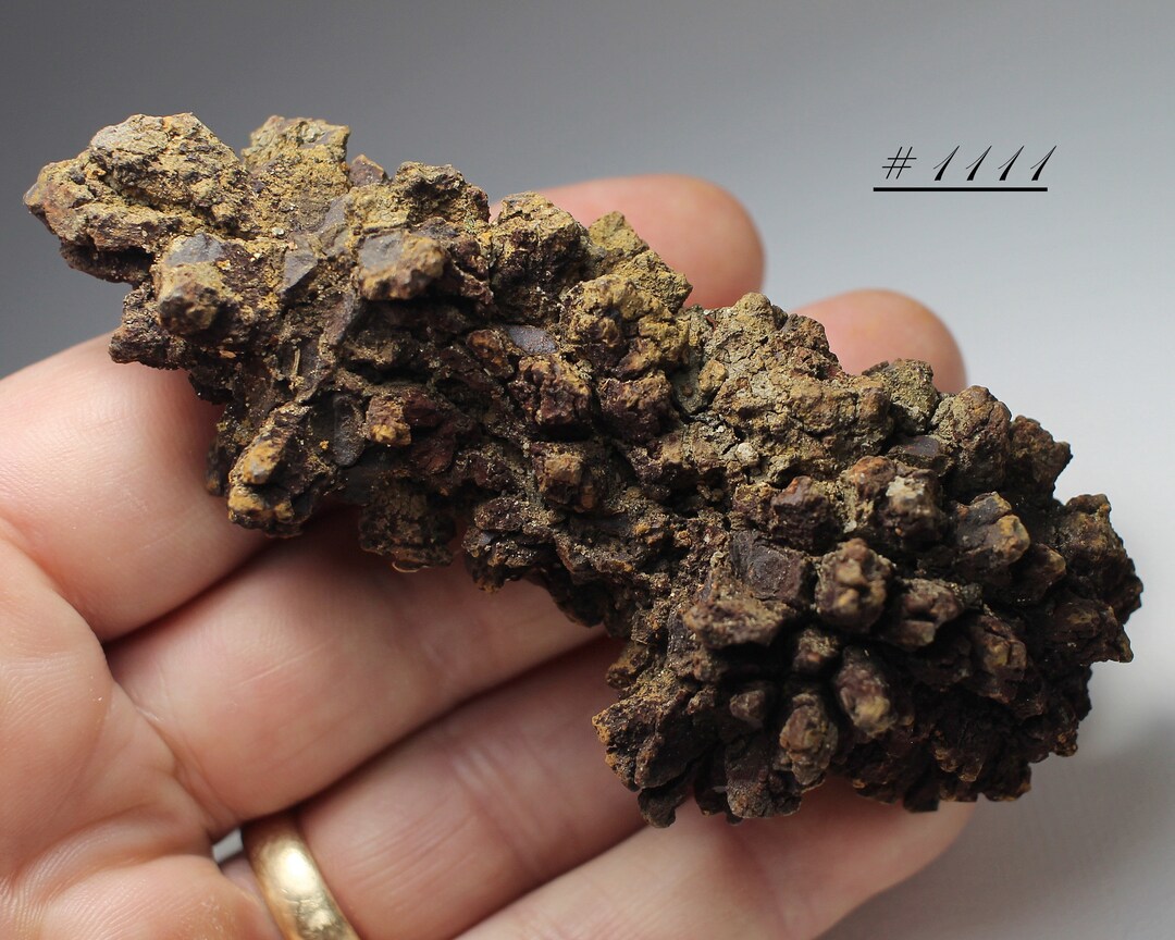 Terrific Large Coprolite (fossilized Poop) or an Amazing Ferruginous ...