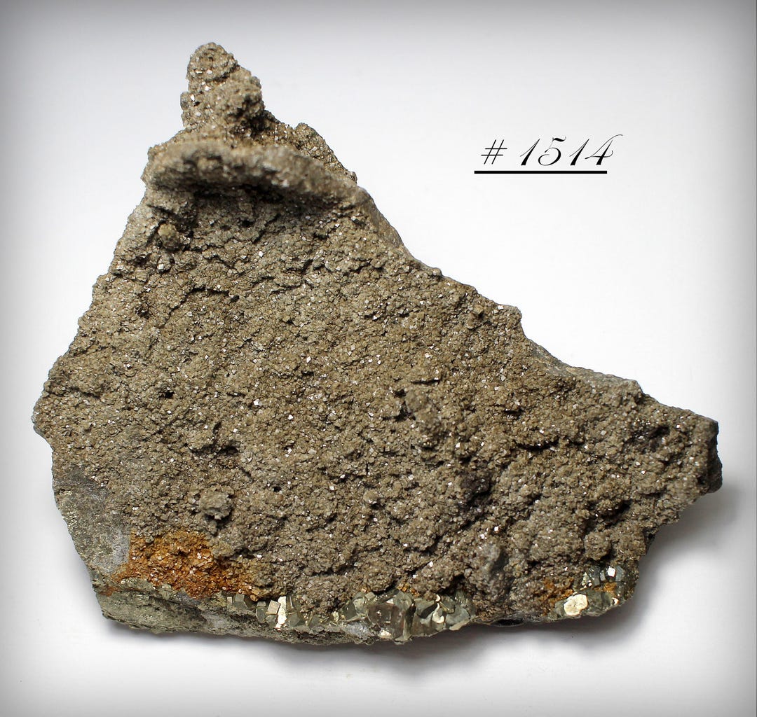 Large Fascinating Colonial Coral Specimen, Natural Cast of Dolomite and ...