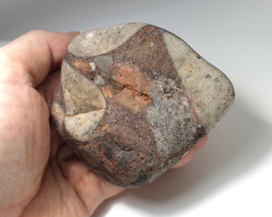 Puddingstone Attractive Puddingstone Metaconglomerate Naturally-rounded ...