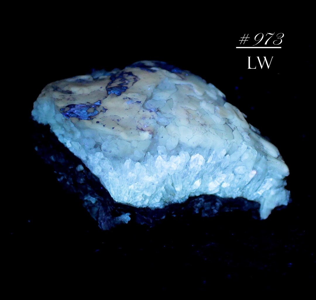 Fluorescent Yellow Calcite Crystals in Partial Clam Fossil, From Rucks ...