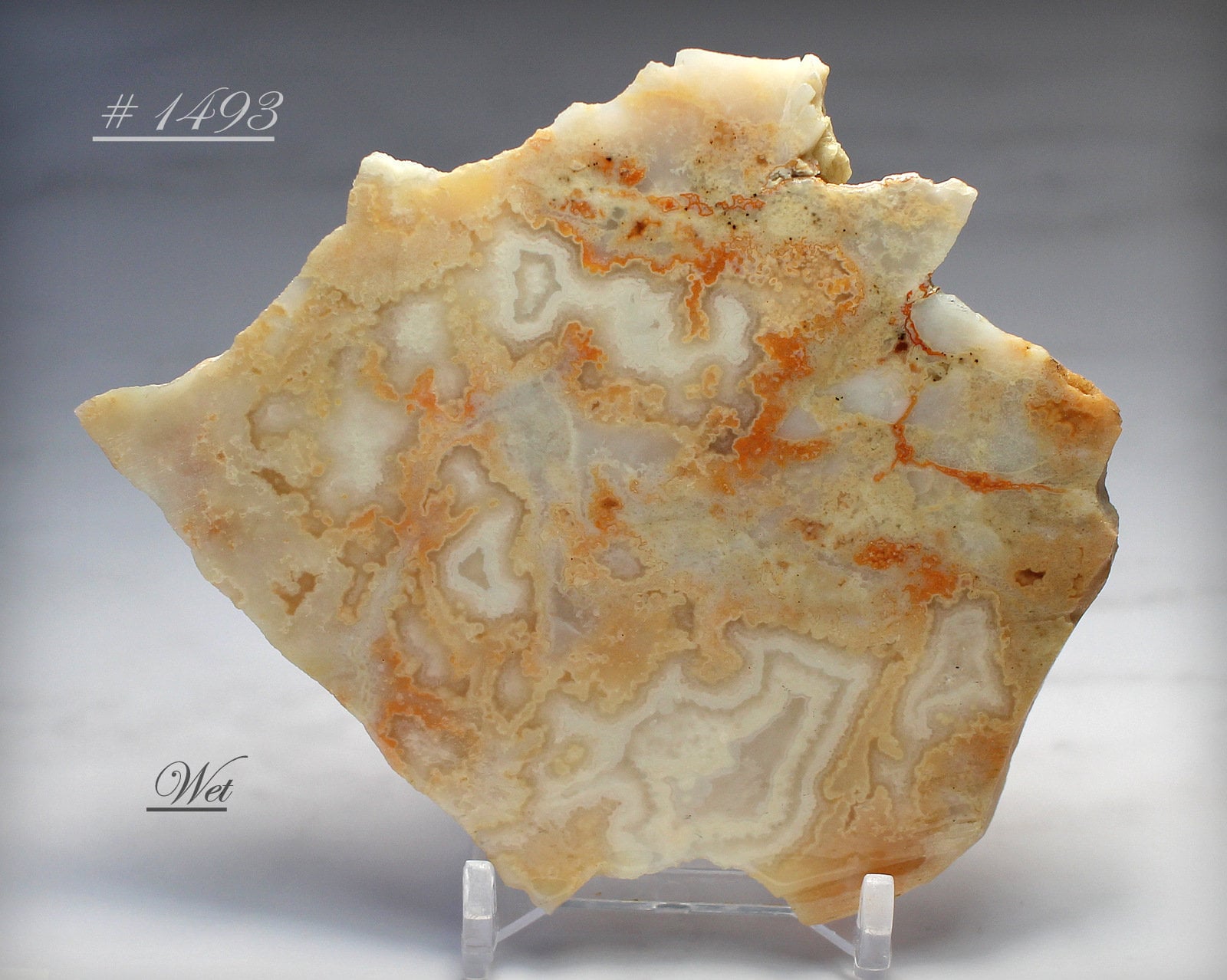 Pretty Agate Slice/slab No Polish or Treatment | Etsy