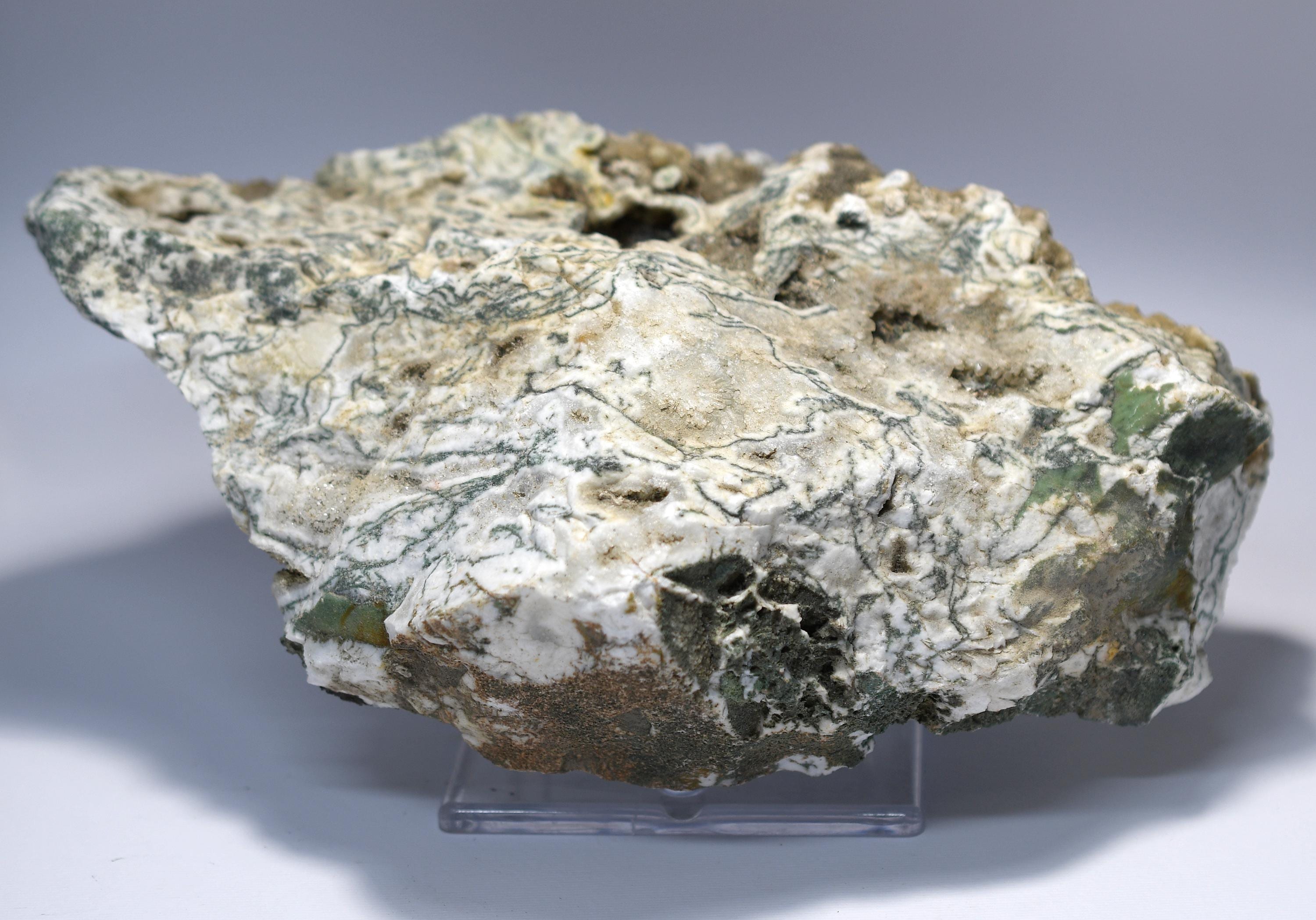 Large Green Tree Agate Rough for Lapidary or Display, With Two Polished ...