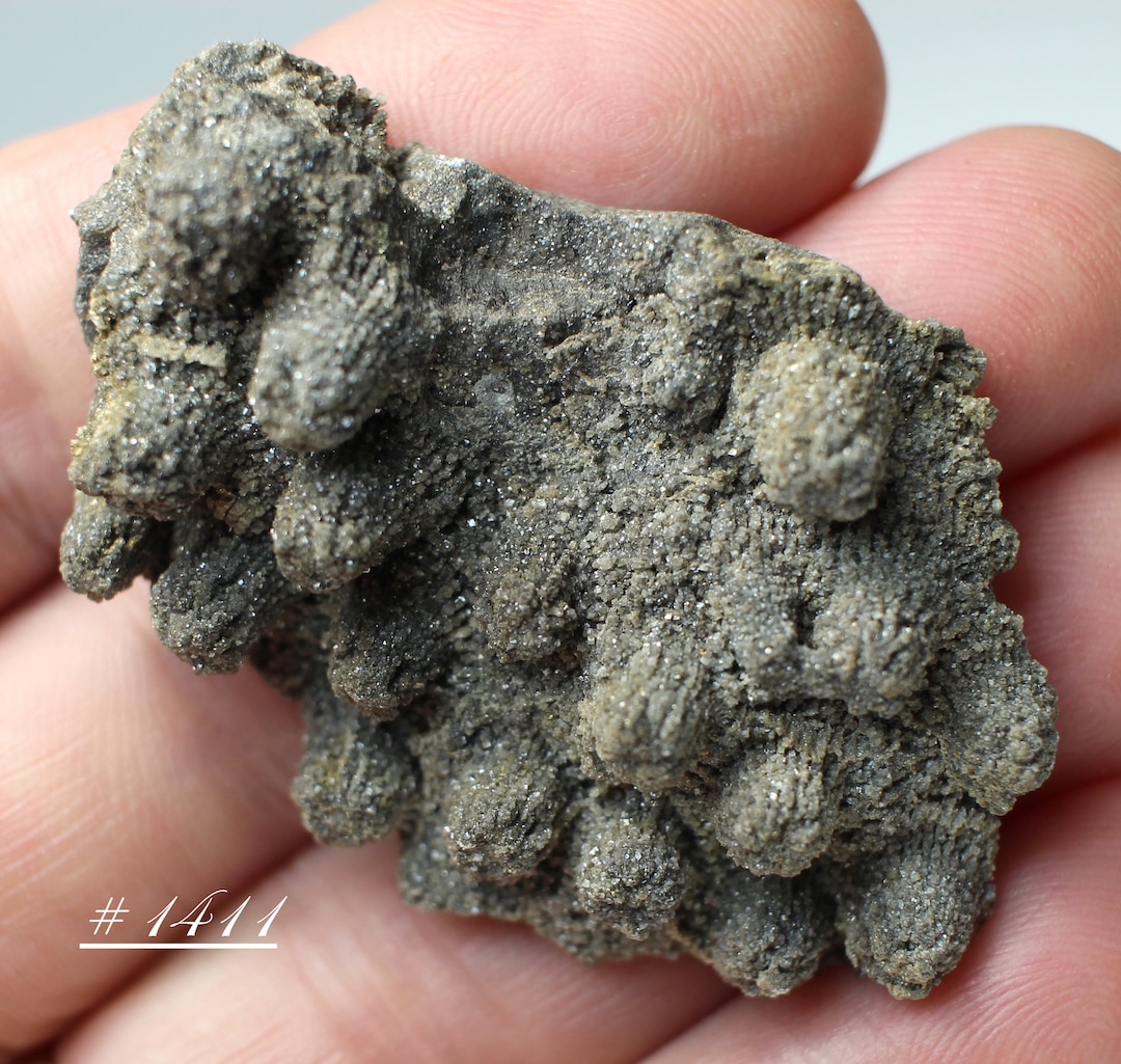 Fascinating Fossil Colonial Coral Specimen, of Calcite Crystals and ...