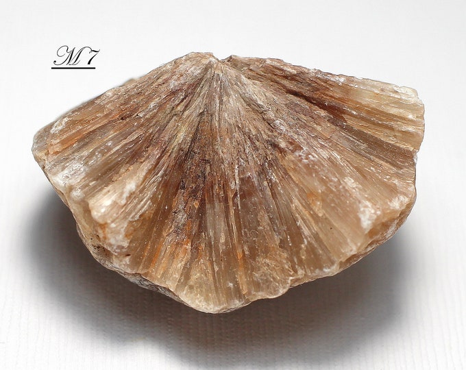 Partial Concentric Barite Nodule A.k.a. 'sunburst' Barite, From the Tri ...