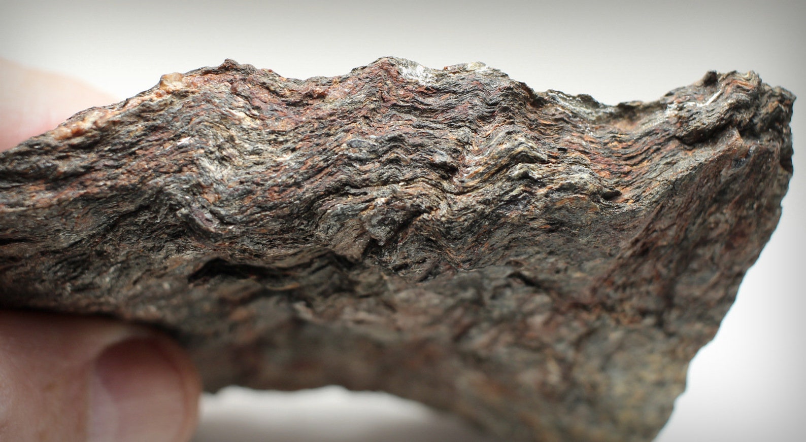 Shiny and Undulating Black Biotite Mica Schist Oh My God | Etsy