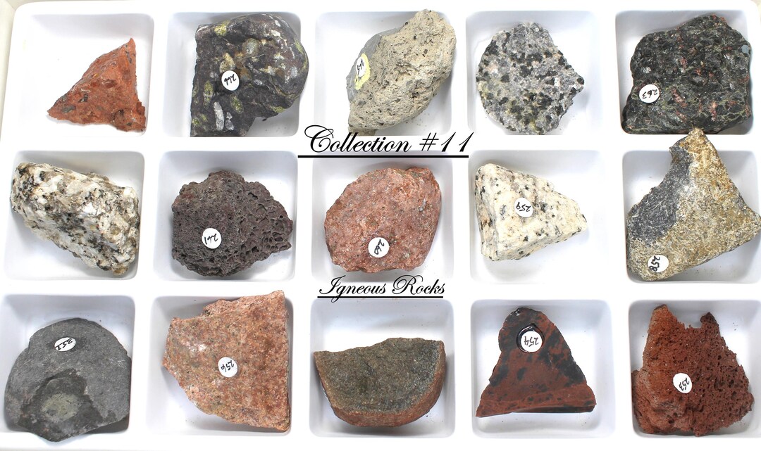 15 Pc. Handmade Rock Collection, Labeled, Numbered, With Display Box Examples of Igneous Rocks ...
