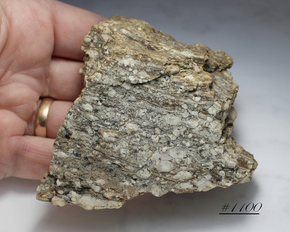 Augen Gneiss Spectacular Large Augen Gneiss Metamorphic | Etsy