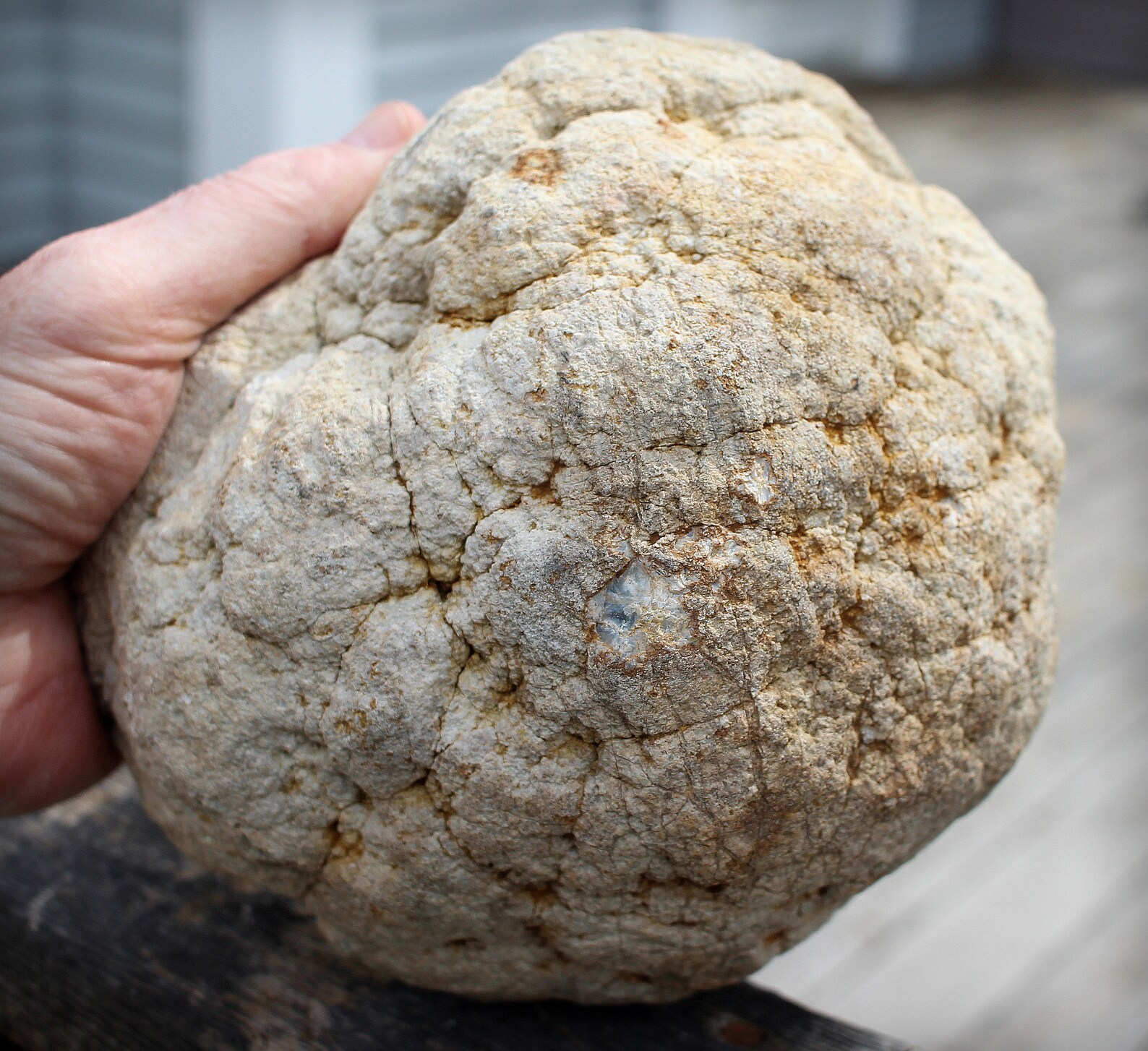 VERY Large Cauliflower Geode Half With Spiky Quartz Crystal - Etsy