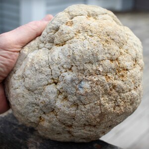 VERY Large Cauliflower Geode Half With Spiky Quartz Crystal Interior ...