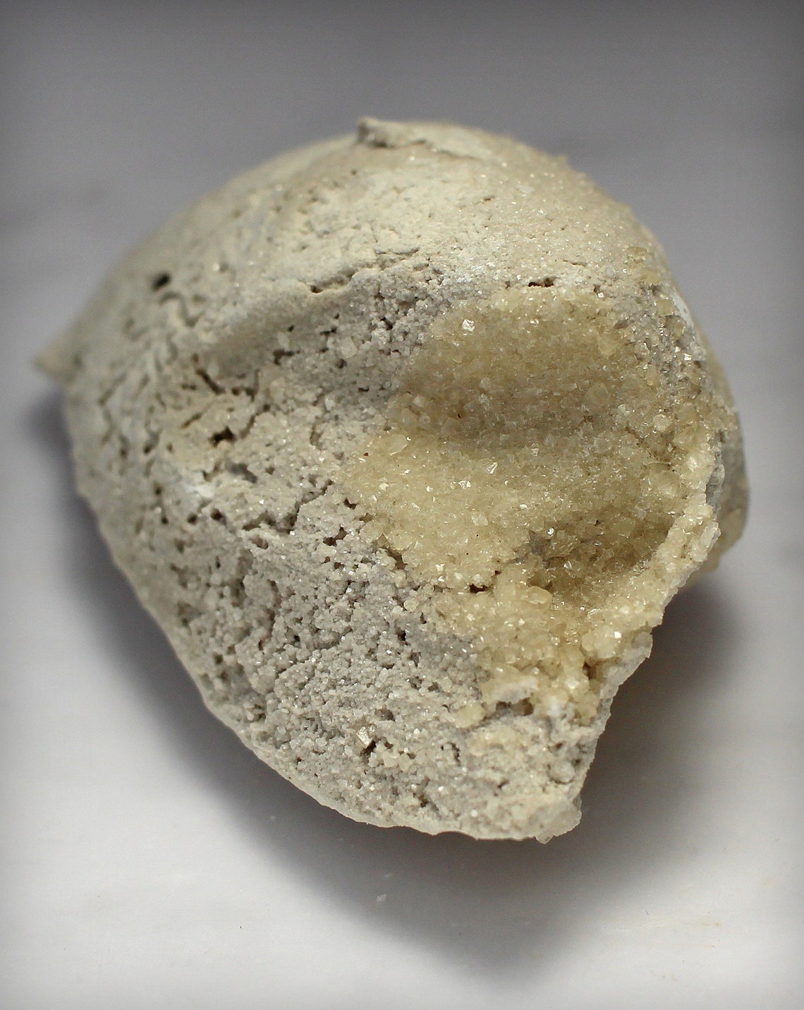 Large Pelecypod Fossil with Calcite from the Silurian Period | Etsy