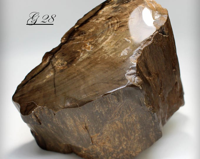 Large (5+ Pounds) Opalized Petrified Wood: Polished Face, Smooth ...
