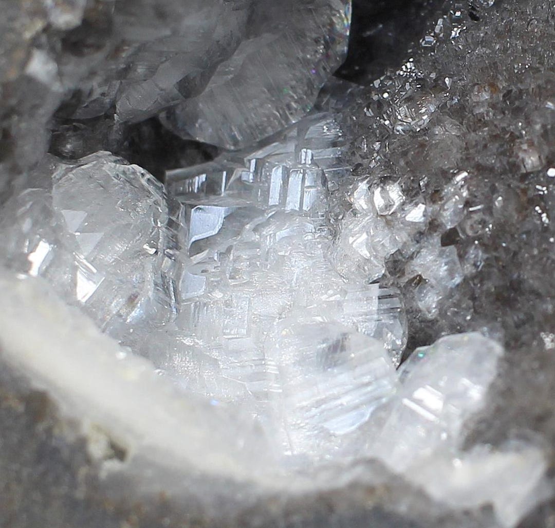 A Diamond-sawn Coconut Geode Half With Chalcedony Rind and Shiny ...