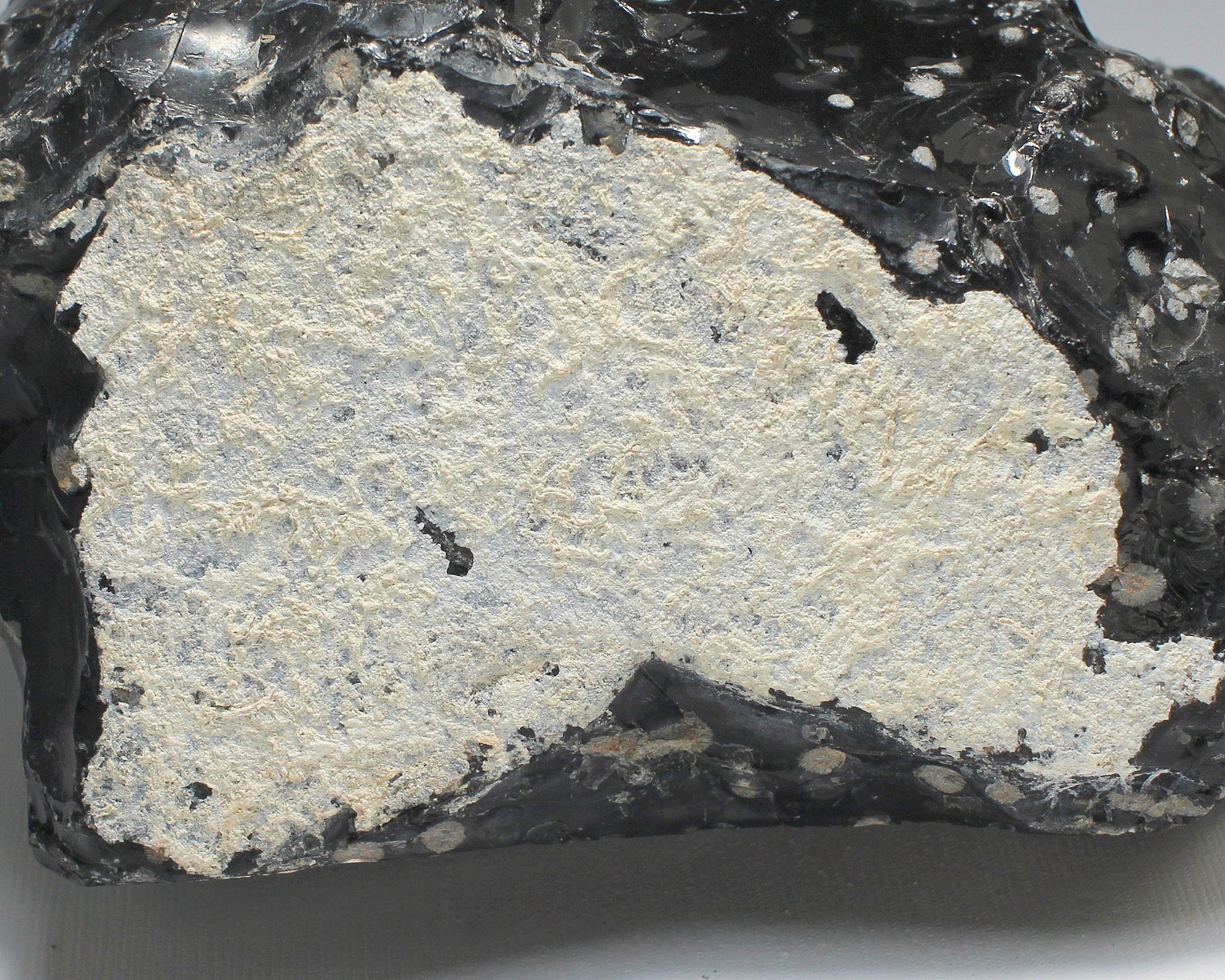 Large Snowflake Obsidian Raw Glassy Cobble of Aphanitic Lava - Etsy