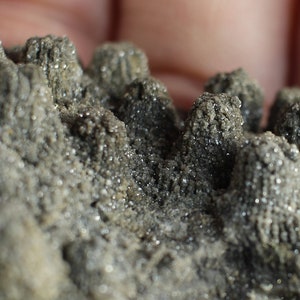 Fascinating Fossil Colonial Coral Specimen, of Calcite Crystals and ...