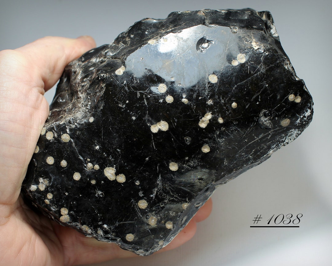 Large Snowflake Obsidian Raw Glassy Cobble of Aphanitic Lava Flow With ...