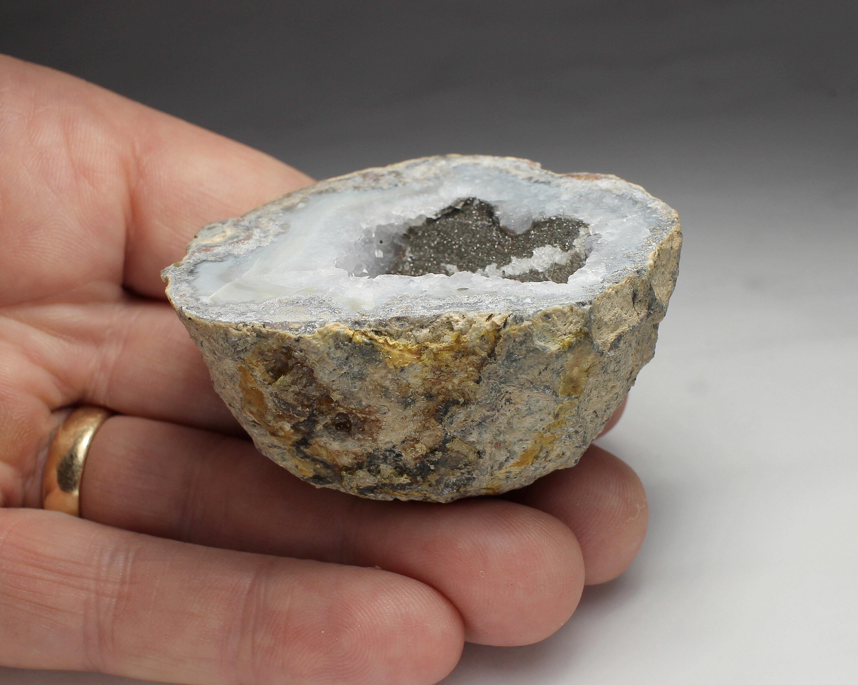 A Smaller Diamond-Sawn Coconut Geode Half with Bluish | Etsy