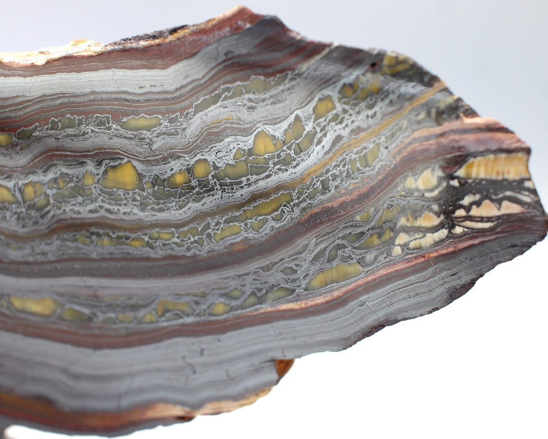 Large Polished Slab of Ancient Australian Banded Iron Jasper With Tiger ...