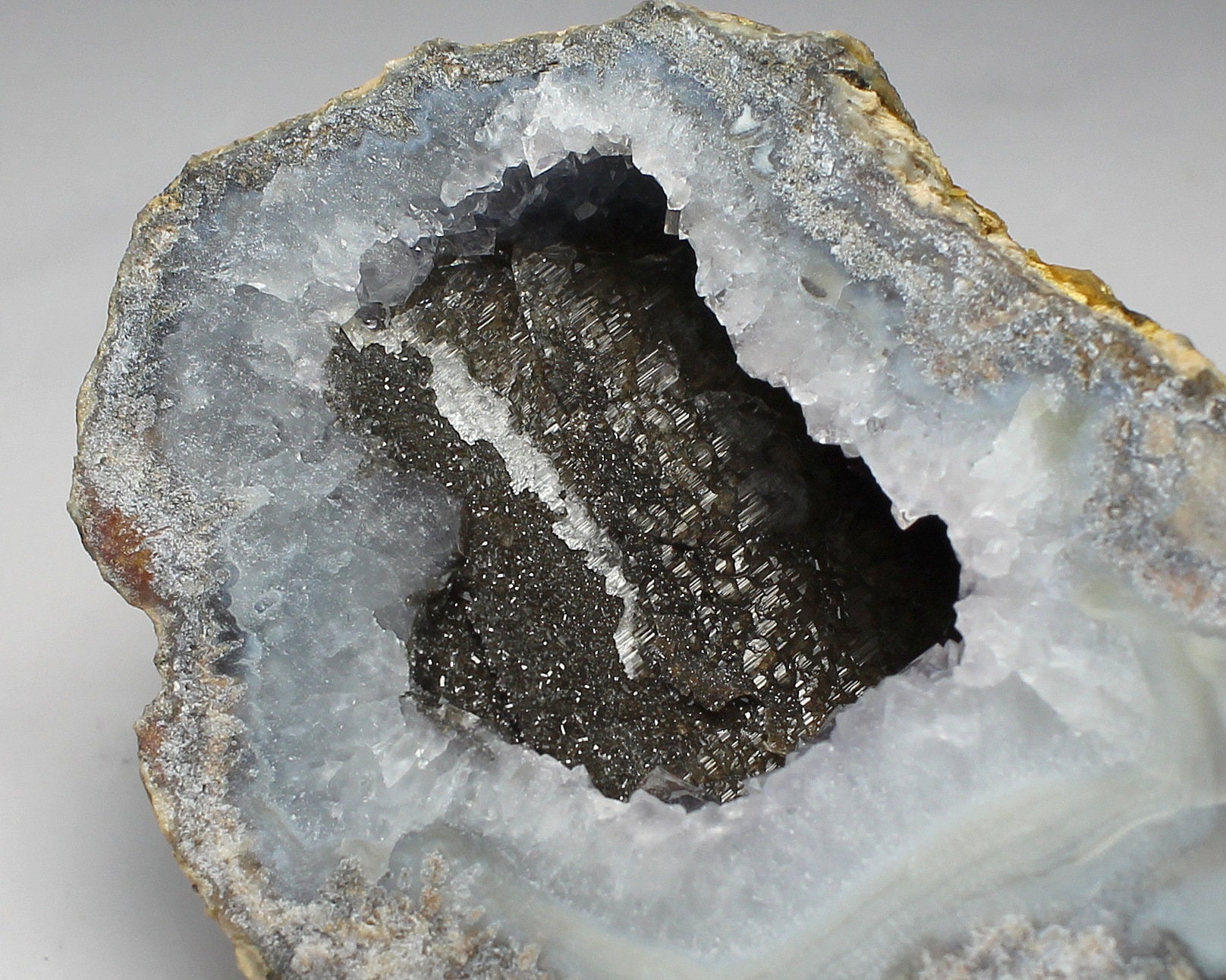 A Smaller Diamond-Sawn Coconut Geode Half with Bluish | Etsy